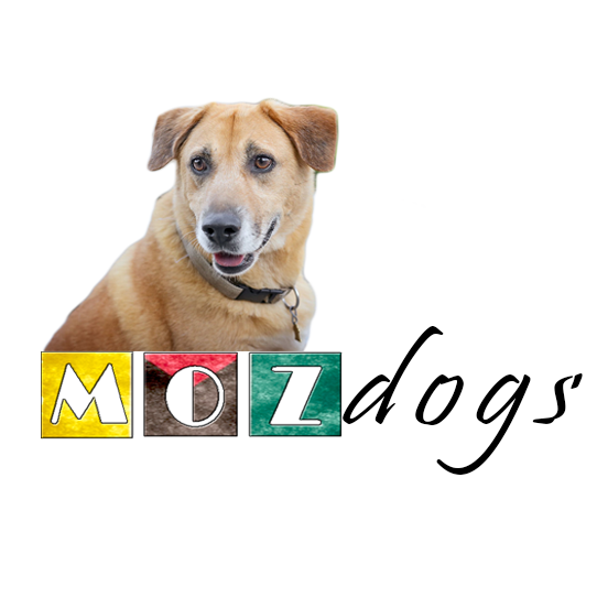 Moz dogs - WelelaWelela